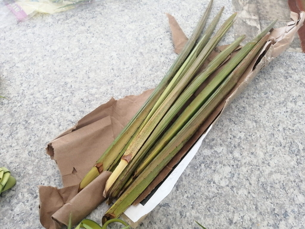 Le tressage des rameaux, ça s’apprend! - La sacristine